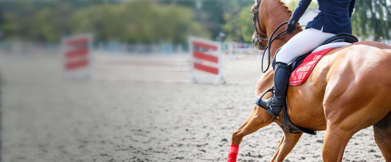 Dechra Veterinary Products NZ – Veterinary pharmaceutical products for ...