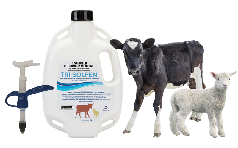 Home – May 2020 – Dechra Veterinary Products NZ