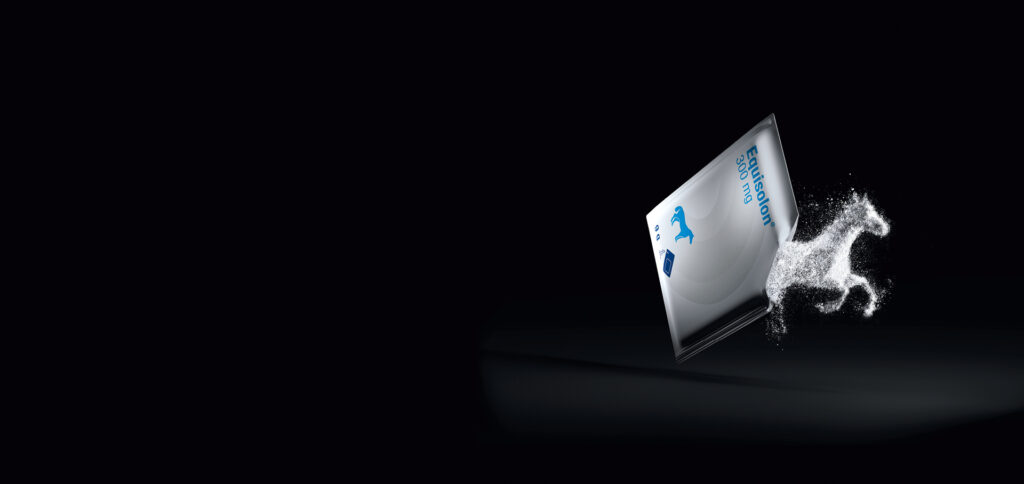 Dechra Veterinary Products NZ – Veterinary pharmaceutical products for ...